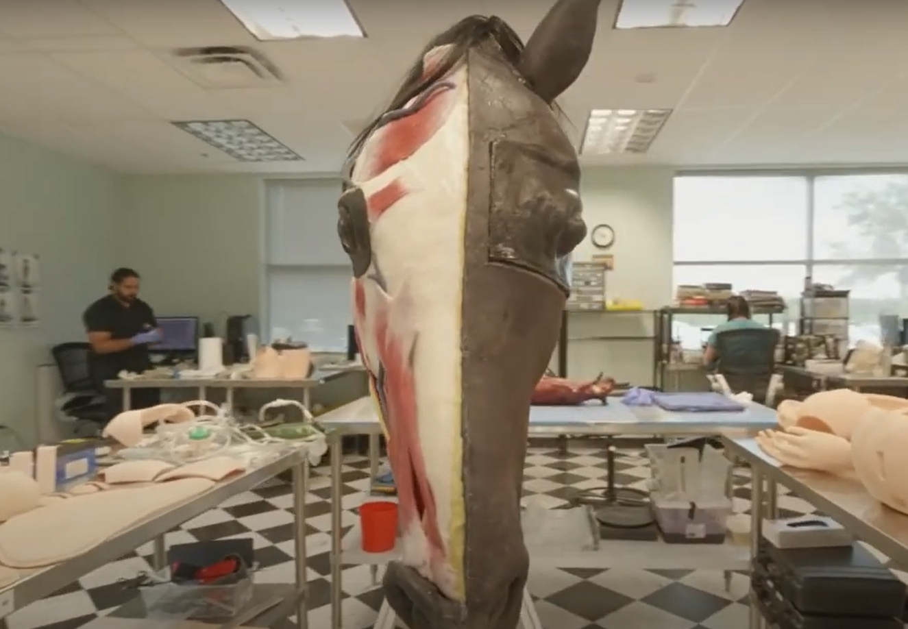 SynDaver Labs: What Happened After Shark Tank - SharkTankWiki