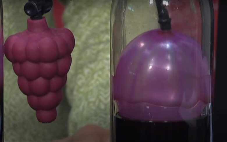 Wine Balloon: What Happened After Shark TankWine Balloon: What Happened ...