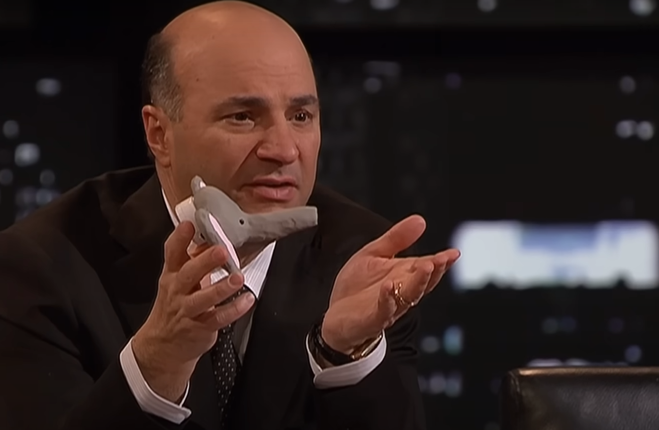 Ava the Elephant: What Happened After Shark Tank - SharkTankWiki