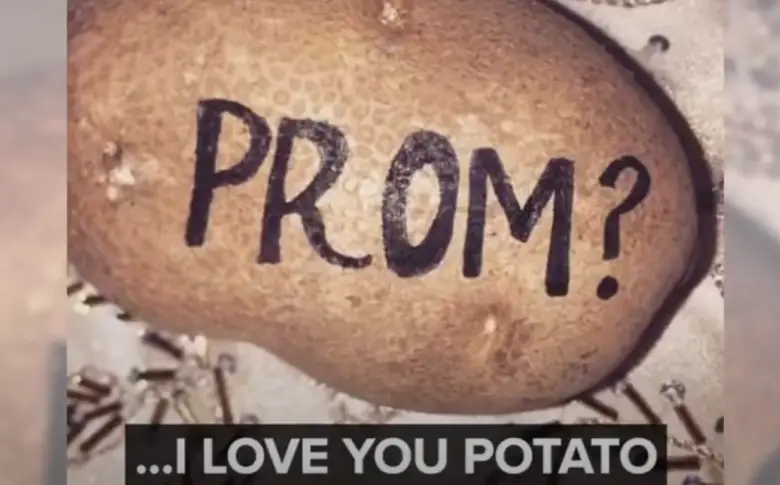 Potato Parcel: What Happened After Shark Tank - SharkTankWiki